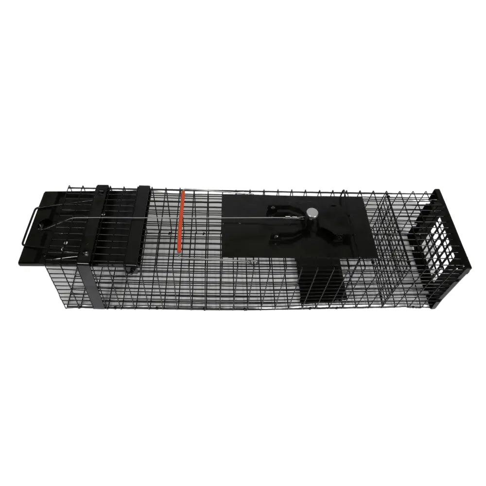 Double Ended Rodent Trap for Rats & Mice | BUY ONLINE – Easy Pest Supplies