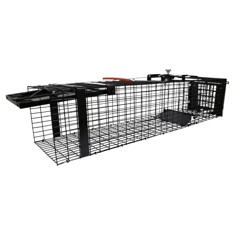 Double Ended Rodent Trap for Rats & Mice | BUY ONLINE – Easy Pest Supplies