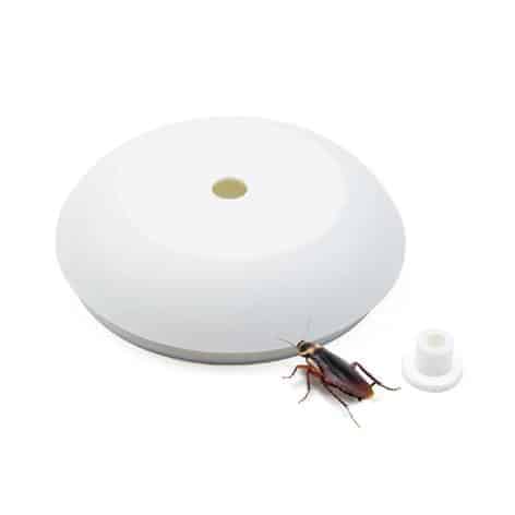 Cockroach Bait Station 10 Pack Durable Reusable Plastic | BUY ONLINE ...