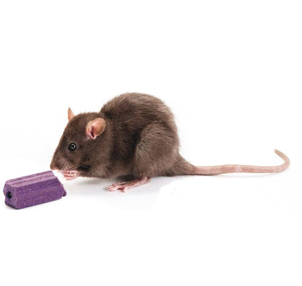 Tomcat Bromethalin Blocks 1.8kg or 8kg Fast Acting | BUY ONLINE – Easy ...