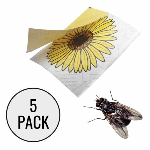 Pest-Stop Window Fly Sticker (Pack 4) | BUY ONLINE – Easy Pest Supplies