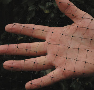 Bird Net Netting Lightweight Extruded BLACK | BUY ONLINE – Easy Pest ...