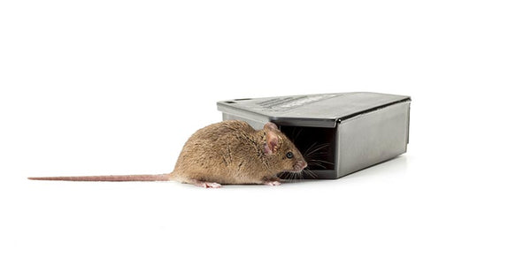Protecta RTU | Mouse Bait Station | Keeps Bait Safe | BUY ONLINE – Easy ...