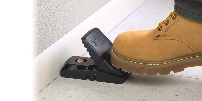 Trapper T-Rex Rat Trap | Snap Trap | BUY ONLINE – Easy Pest Supplies