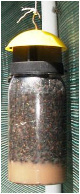 Envirosafe Fly Trap | Jumbo Size | Pesticide Free | BUY ONLINE – Easy ...