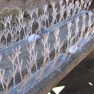 Thorny Devil Bird Spikes | Polycarbonate Plastic | BUY ONLINE – Easy ...