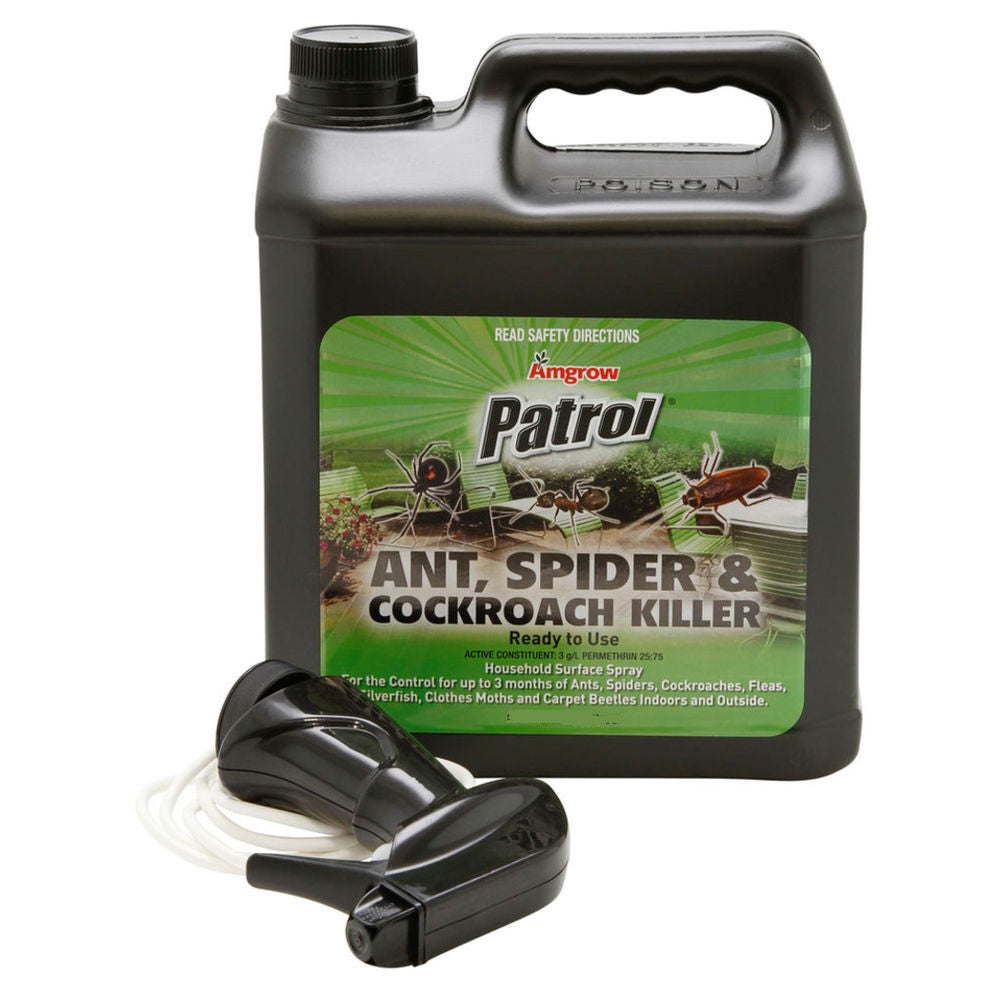 Amgrow Patrol Ant Spider & Cockroach Killer RTU | BUY ONLINE – Easy ...