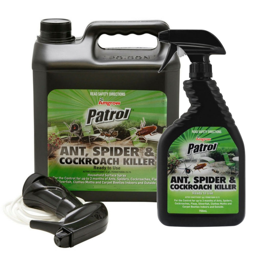Amgrow Patrol Ant Spider & Cockroach Killer RTU | BUY ONLINE – Easy ...