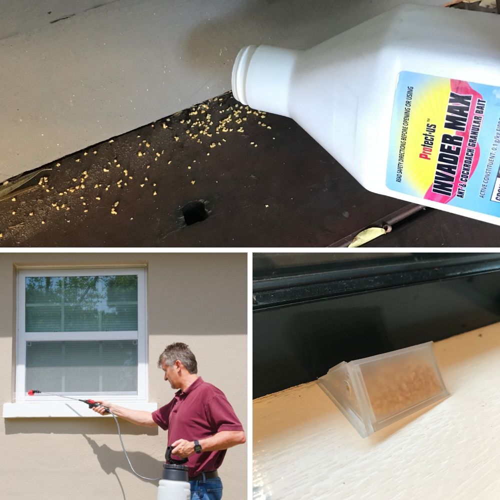 Ant Control Deluxe DIY Kit | Bait Insecticide Stations BUY ONLINE ...