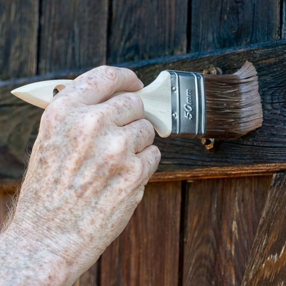 Boracol Timber Treatment & Fungicide 5 Litre | BUY ONLINE – Easy Pest ...