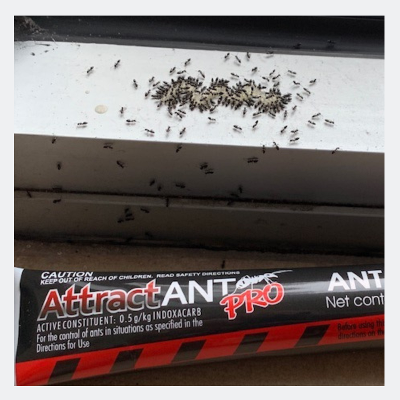 AttractANT PRO Ant Bait Gel 30g Tube Indoxacarb | BUY ONLINE – Easy ...