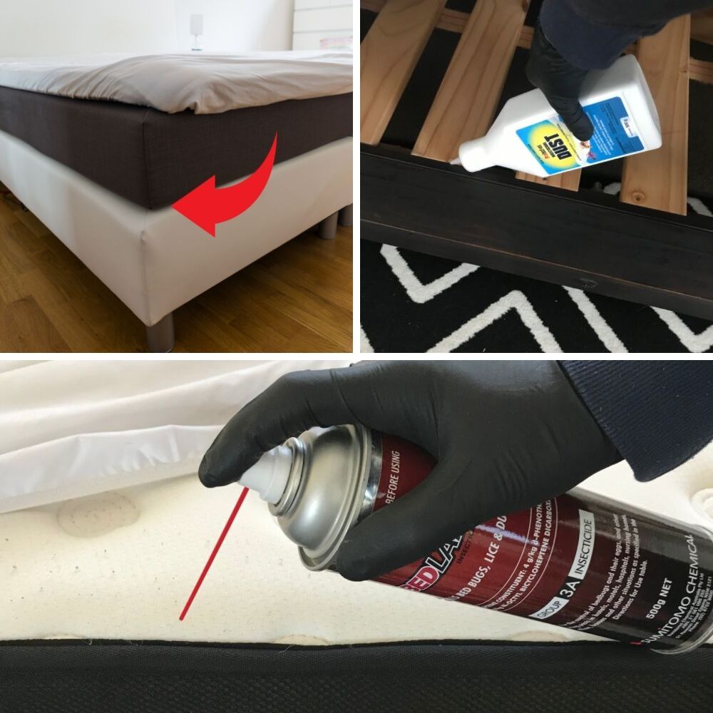 DIY Bed Bug Control Kit Basic| BUY ONLINE – Easy Pest Supplies