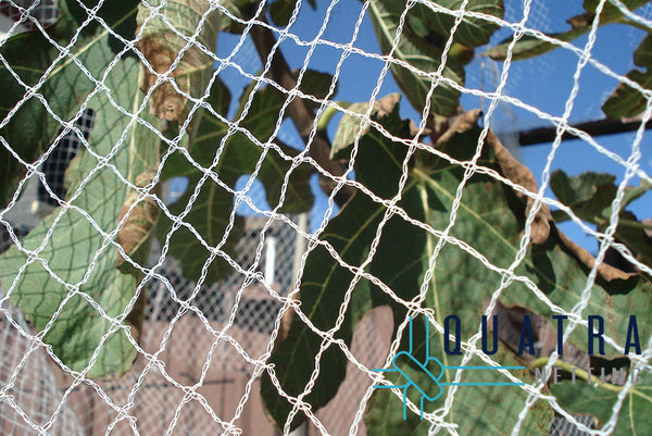 Bird Netting - Fruit Tree Orhcard Net WHITE | BUY ONLINE – Easy Pest ...