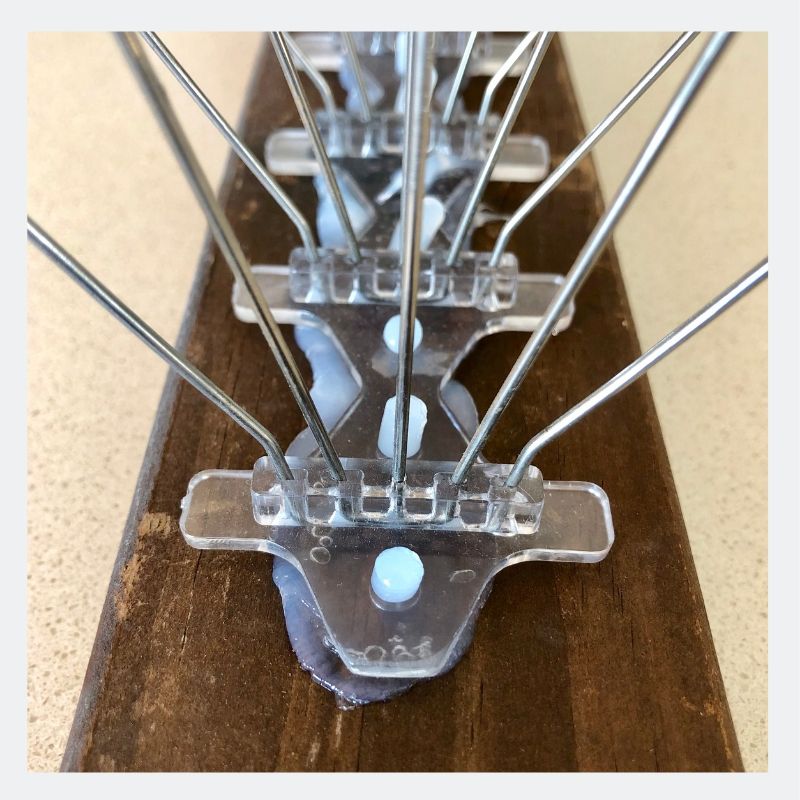 Avifix Bird Spike Adhesive 310ml Neutral Cure Silicone | BUY ONLINE ...