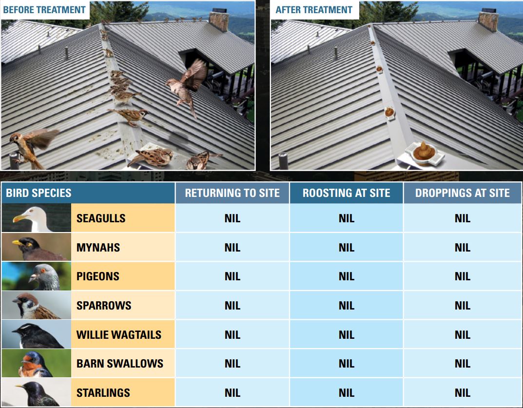 Avithor Bird Away Visual & Olfactory Bird Repellent 225g | BUY ONLINE ...