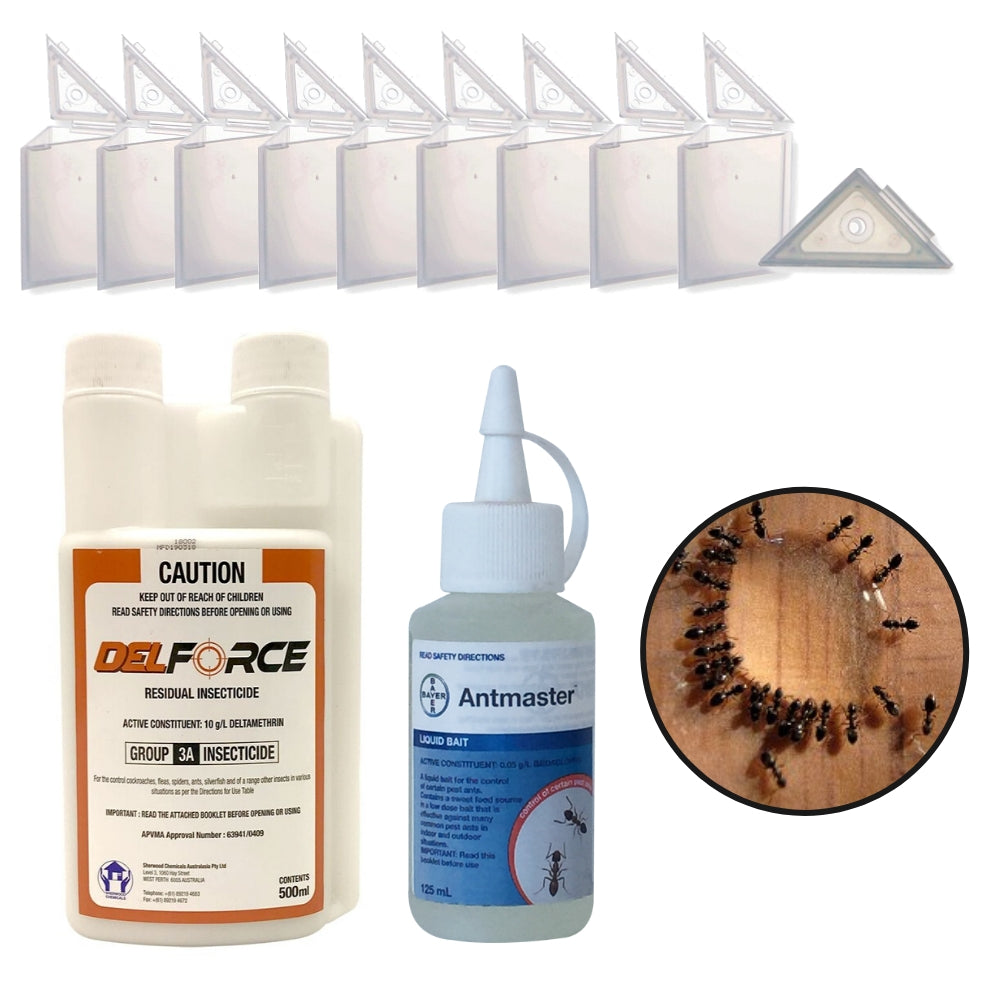 Black Ant Control Deluxe DIY Kit | Bait, Insecticide & Bait Stations ...
