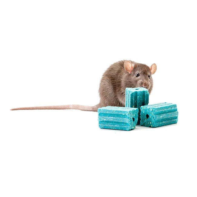 Contrac Blox | Rat Bait | Bromadiolone Blocks | BUY ONLINE – Easy Pest ...