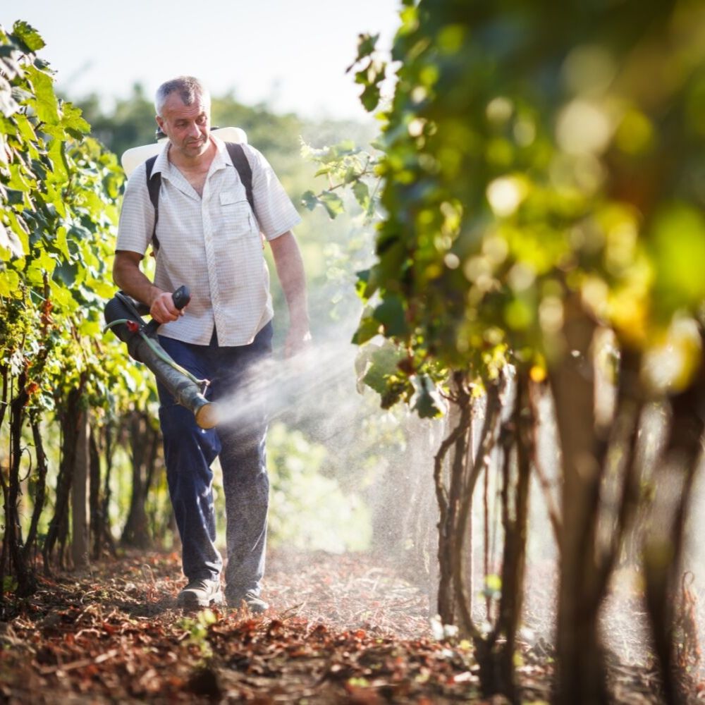 D-Ter Animal Bird Repellent |100g | Possum Repellent | BUY ONLINE ...