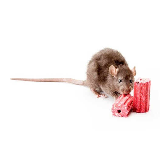 Tomcat II Rat Bait | 800g Bucket | Kills Rats Fast| BUY ONLINE – Easy ...