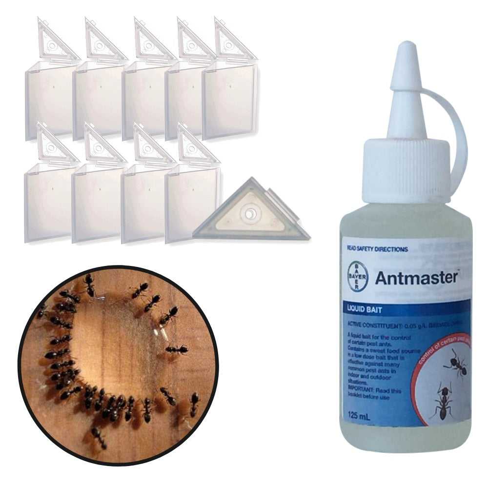 Black Ant Control BASIC DIY Kit | Liquid Bait Stations | BUY ONLINE ...