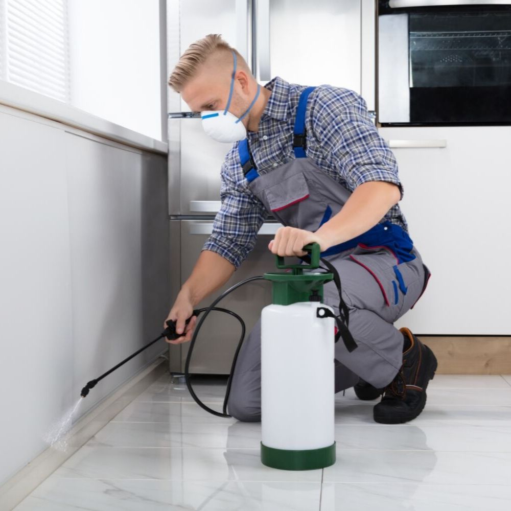 Delta Pro Professional Insecticide Deltamethrin Concentrate | BUY ...