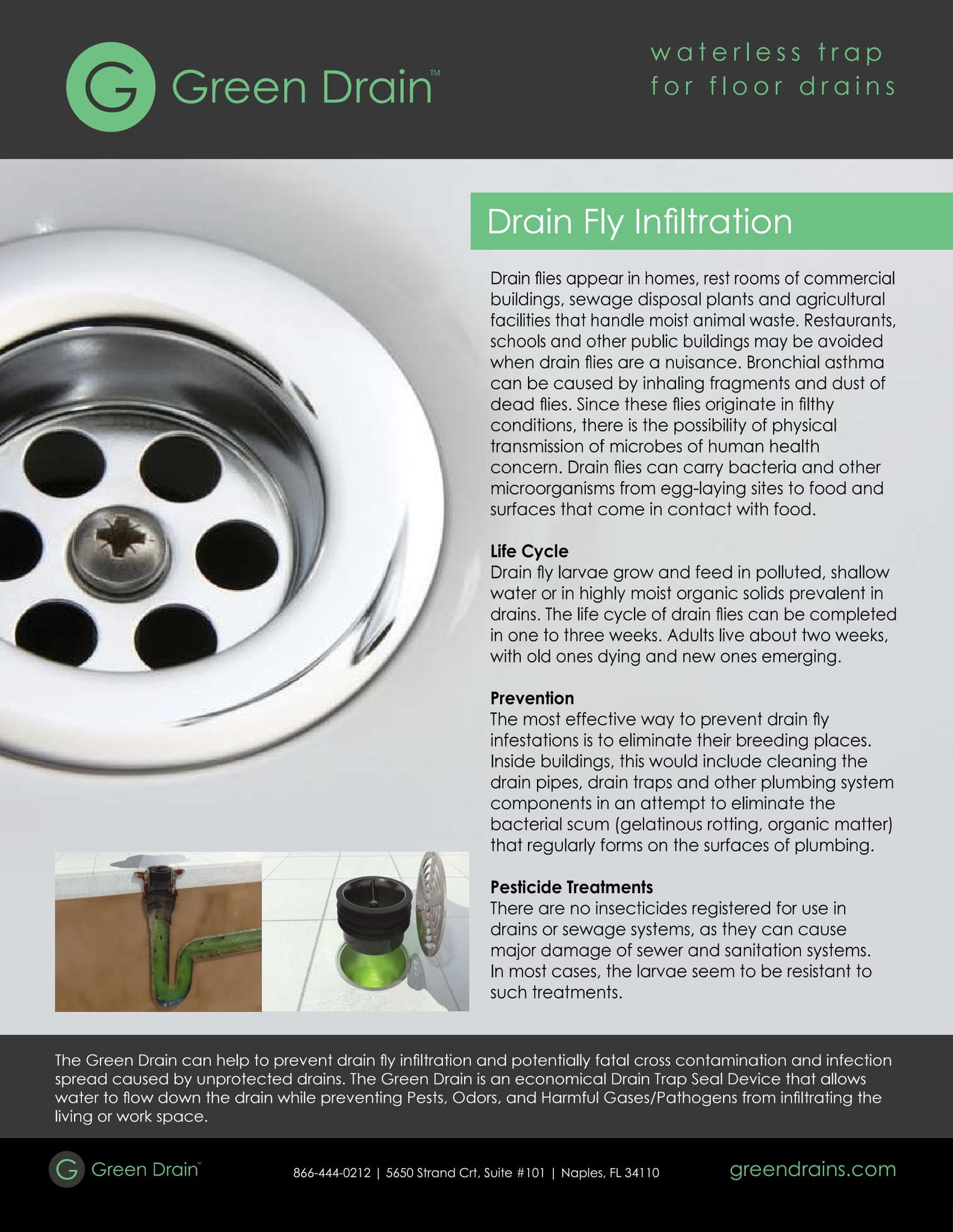 Green Drains Floor Trap Seal - Choose Sizes BUY ONLINE – Easy Pest Supplies