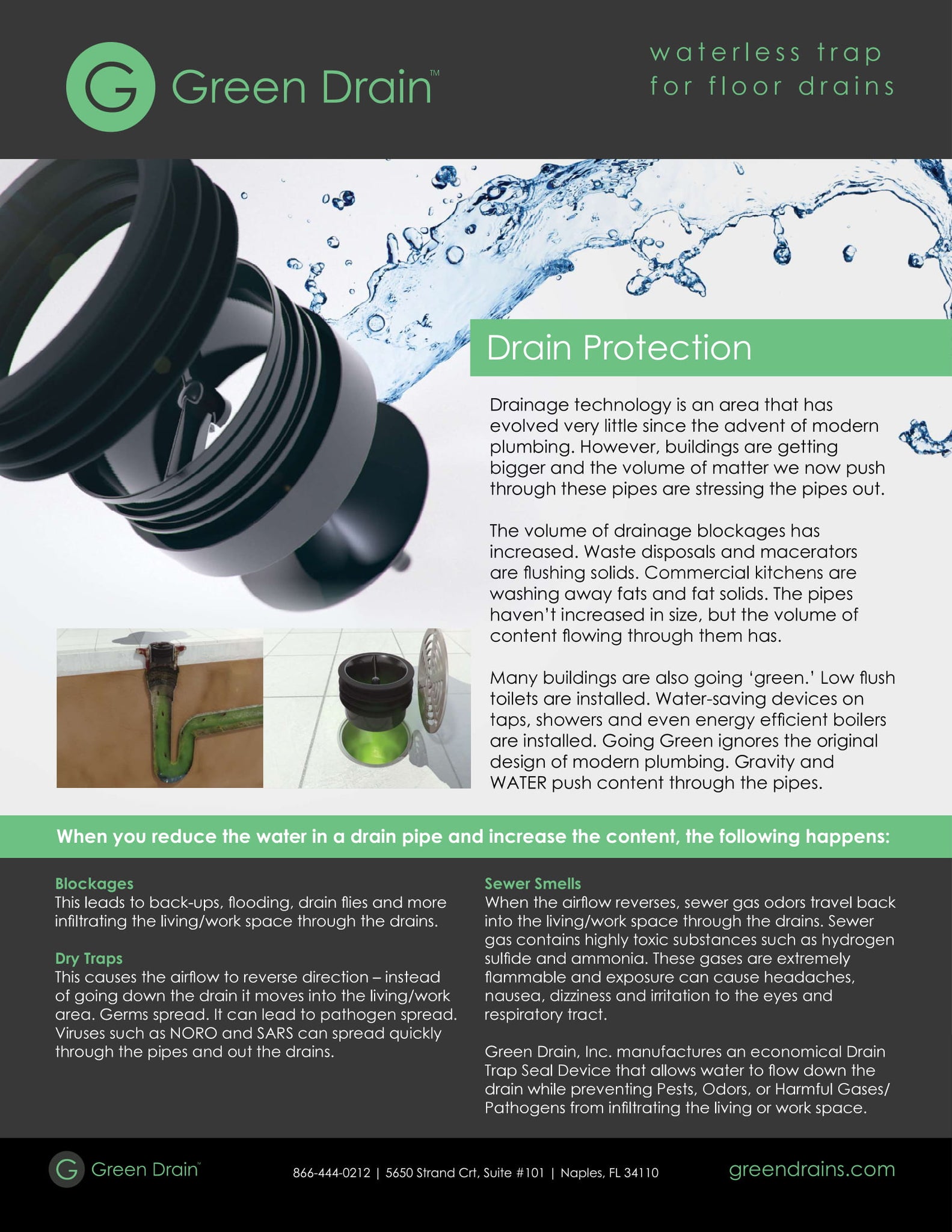 Green Drains Floor Trap Seal - Choose Sizes BUY ONLINE – Easy Pest Supplies