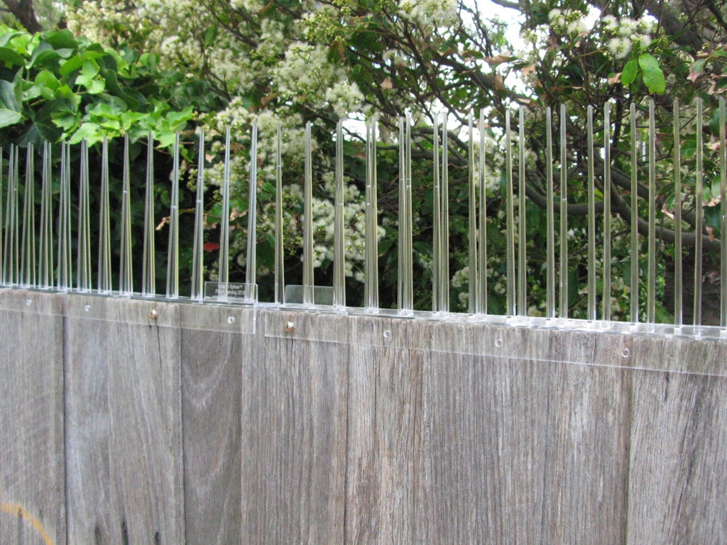 Possum Deterrent Fence Spikes | BUY ONLINE – Easy Pest Supplies