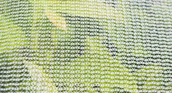 Fruit Fly Netting White 103 GSM HDPE Monofilament | BUY ONLINE – Easy ...