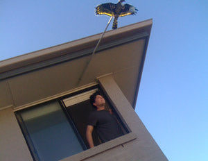 Hawk Bird Scarer | Hovering Bird Deterrent | BUY ONLINE – Easy Pest ...