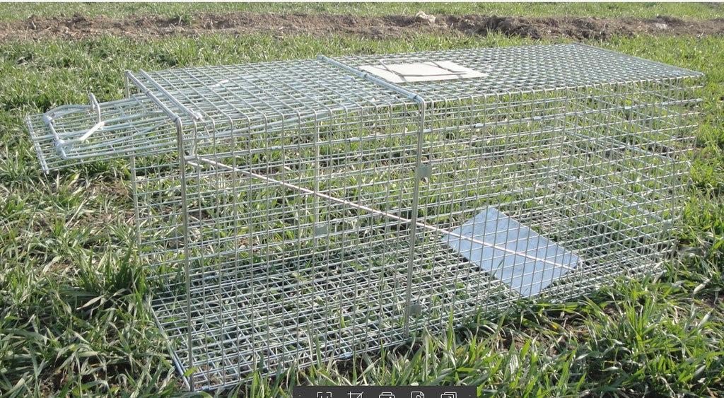 Large Animal Trap for Trapping Dogs Cats Foxes etc | BUY ONLINE – Easy ...