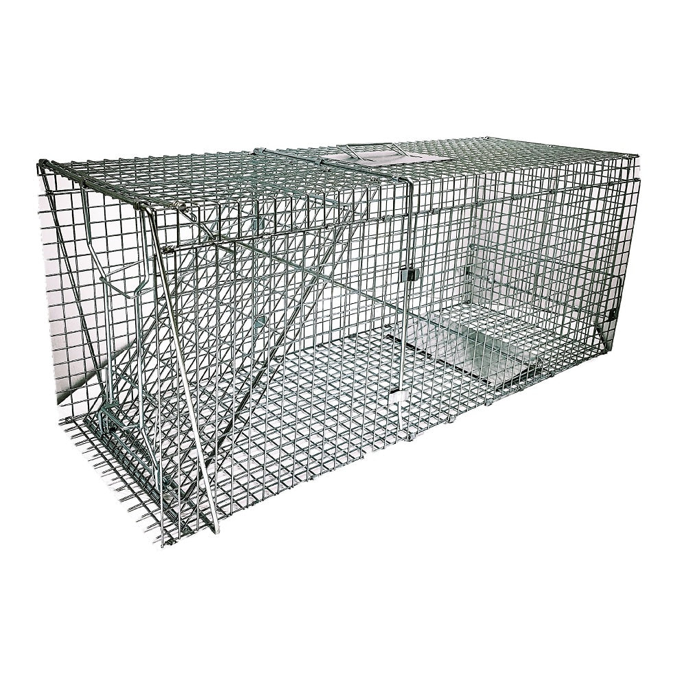 Large Animal Trap for Trapping Dogs Cats Foxes etc | BUY ONLINE – Easy ...