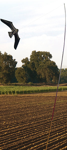 ScaryBird Bird Scarer Kite Eagle Visual Deterrent | BUY ONLINE – Easy ...