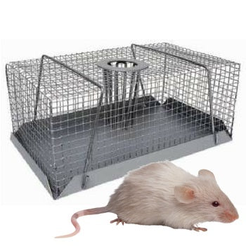 Multi Catch Mouse Trap | Small | Humane Mice Control | BUY ONLINE ...