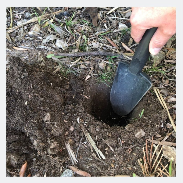 NEMESIS Termite Inground Bait Station Treatment Inspection Monitor ...