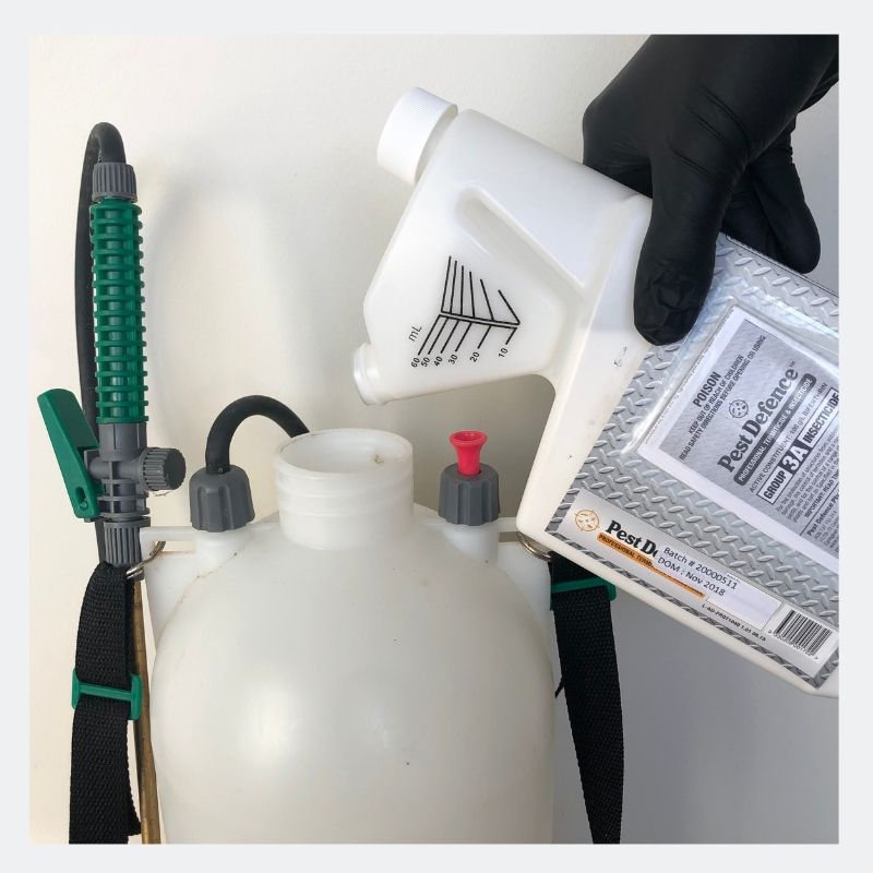 Professional Water-based Termiticide & Insecticide | BUY ONLINE – Easy ...