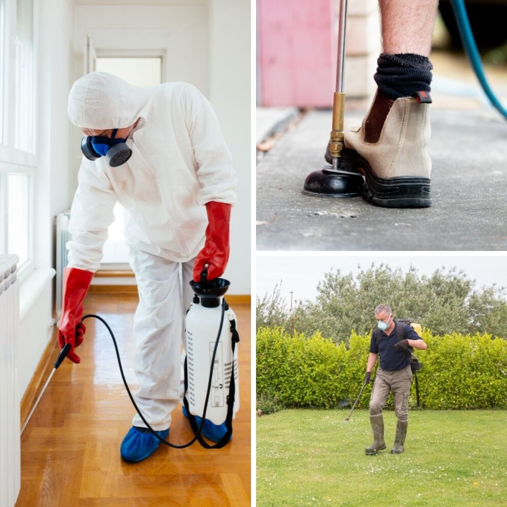 Professional Water-based Termiticide & Insecticide | BUY ONLINE – Easy ...