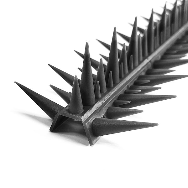 Pestrol Prickly Devil Animal Bird Spikes 40cm Length | BUY ONLINE ...