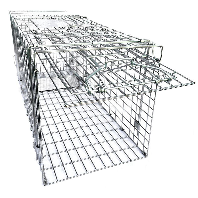 Feral Cat Trap | Trapping | Humane | BUY ONLINE – Easy Pest Supplies