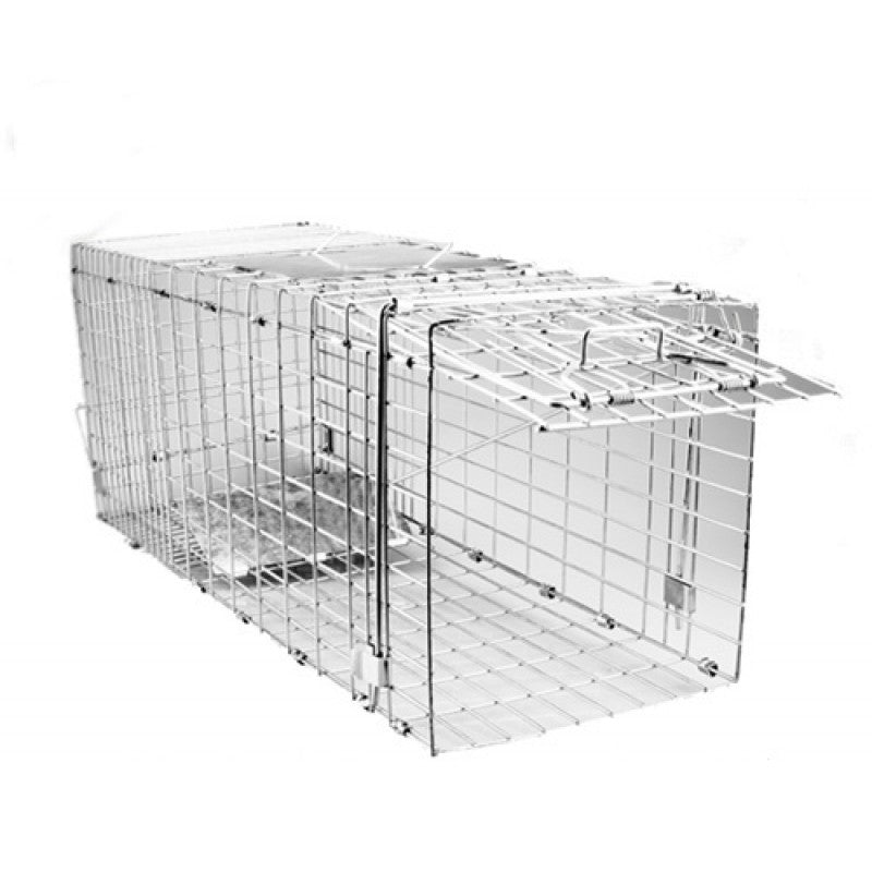 Feral Cat Trap | Trapping | Humane | BUY ONLINE – Easy Pest Supplies