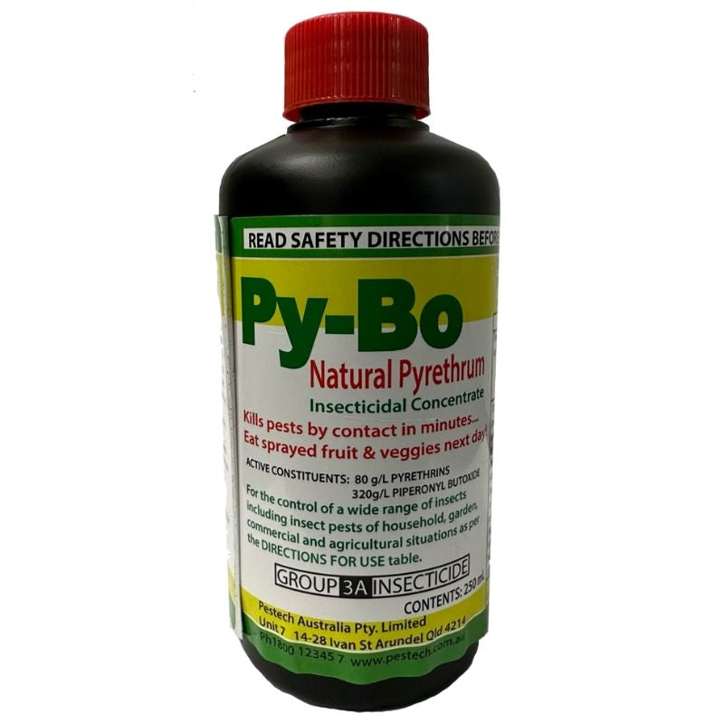 Py-Bo Natural Pyrethrum Insecticidal Concentrate | BUY ONLINE – Easy ...