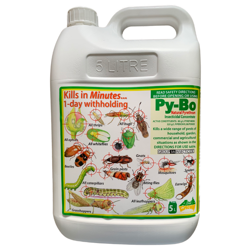 Py-Bo Natural Pyrethrum Insecticidal Concentrate | BUY ONLINE – Easy ...