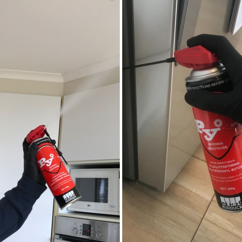 PY Pyrethrin Spray | Rudchem | Professional Aerosol | BUY ONLINE – Easy ...