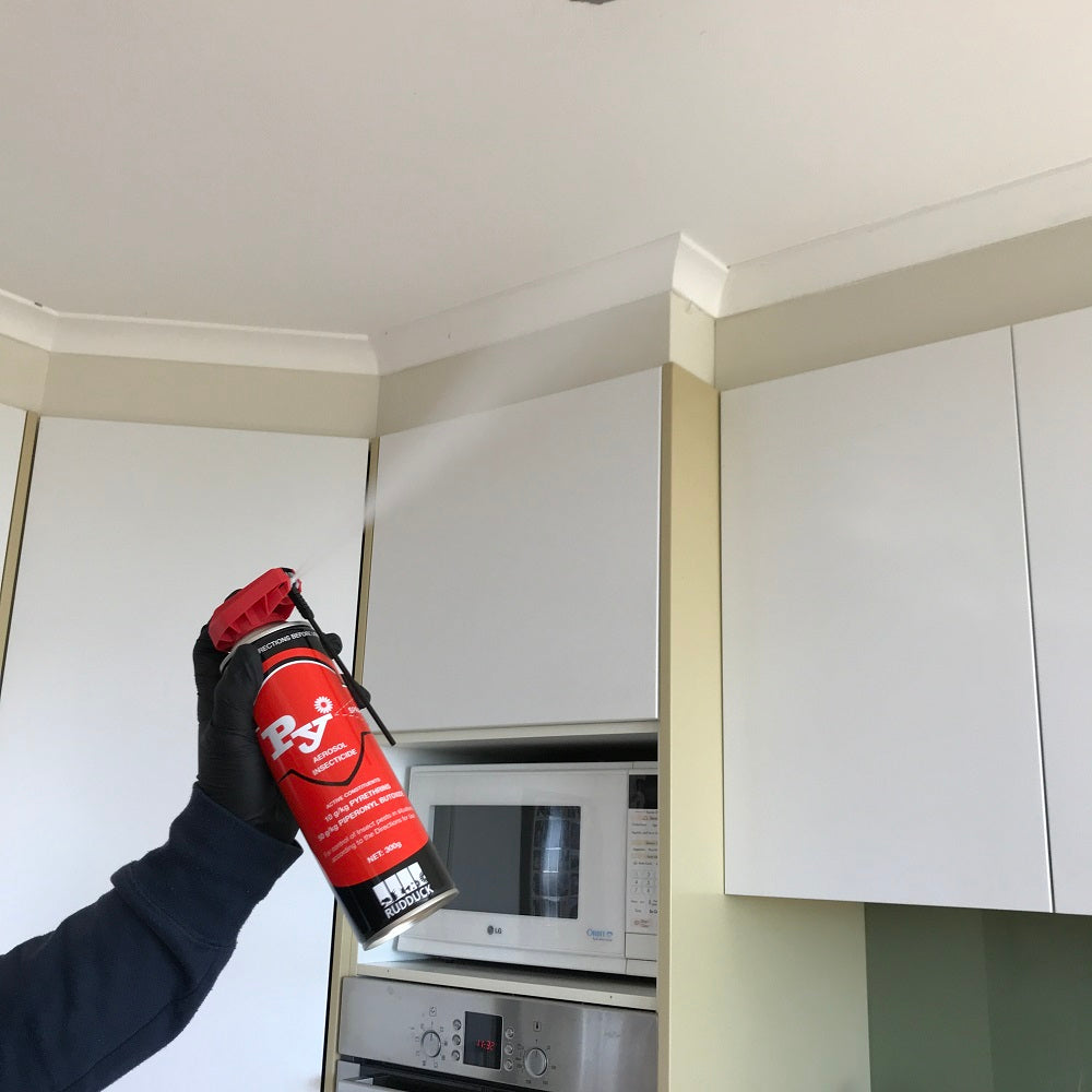 PY Pyrethrin Spray | Rudchem | Professional Aerosol | BUY ONLINE – Easy ...