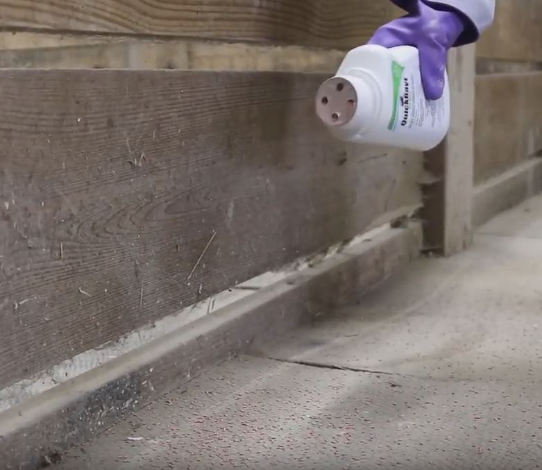 QuickBayt | Fly Bait | Granule Killer | BUY ONLINE – Easy Pest Supplies