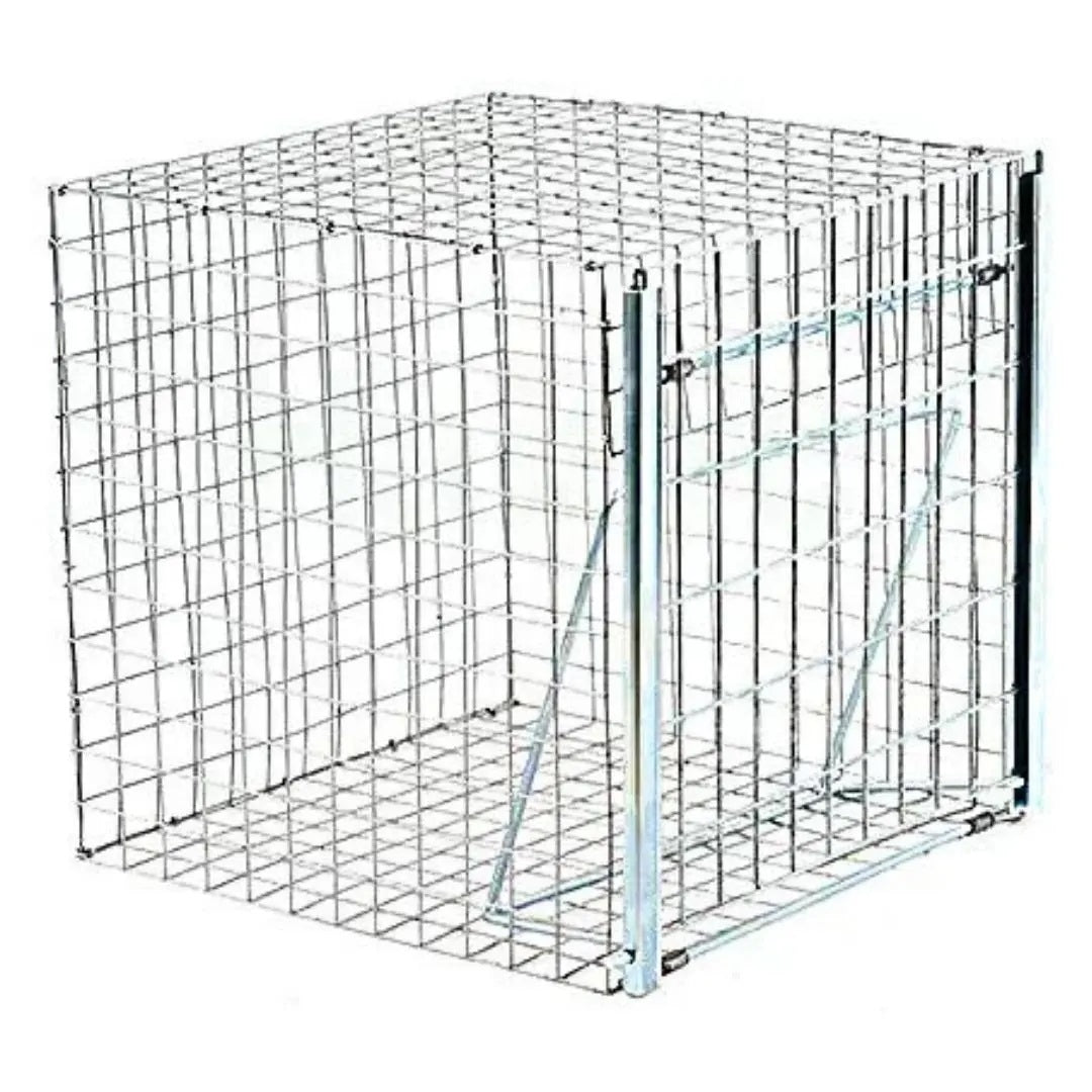 Single Catch Pigeon Trap An easy DIY Humane Large Bird Trap | BUY ...