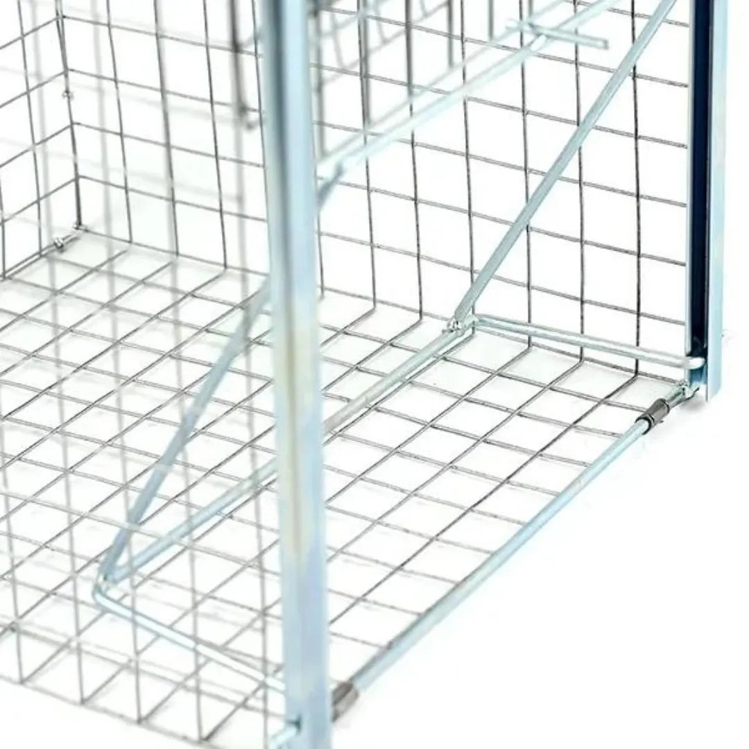 Single Catch Pigeon Trap An easy DIY Humane Large Bird Trap | BUY ...