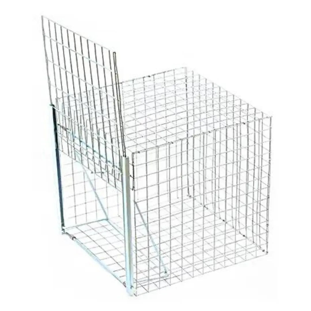 Single Catch Pigeon Trap An easy DIY Humane Large Bird Trap | BUY ...