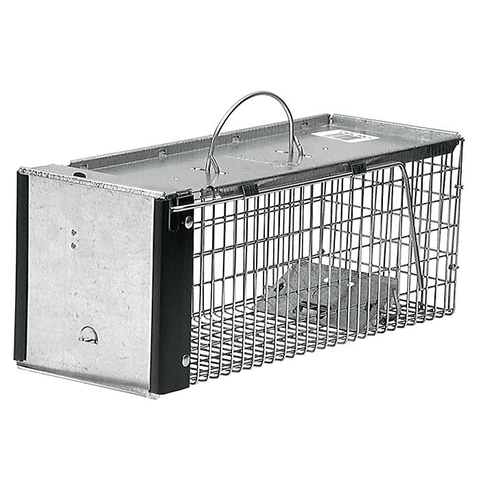 Single Catch Rat Trap | Humane | Foot Plate Activated | BUY ONLINE ...