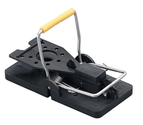 Mouse Trap | Plastic | Snap Trap | BUY ONLINE – Easy Pest Supplies